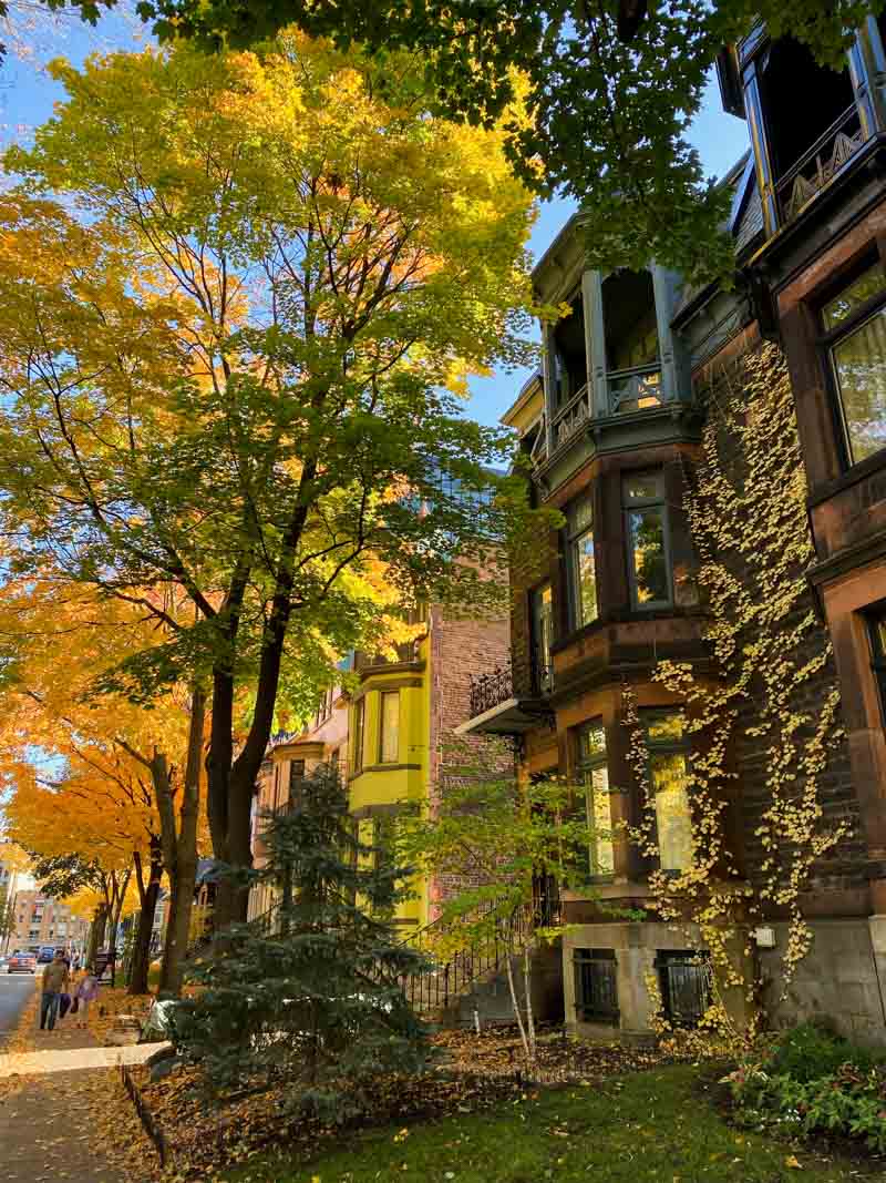 The Best Time to Visit Montreal: A Month-by-Month Guide