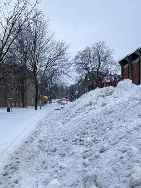 The Best Time to Visit Montreal: A Month-by-Month Guide