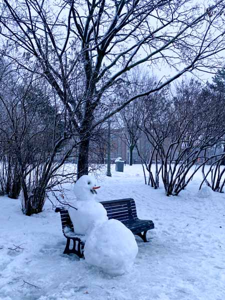 The Best Time to Visit Montreal: A Month-by-Month Guide