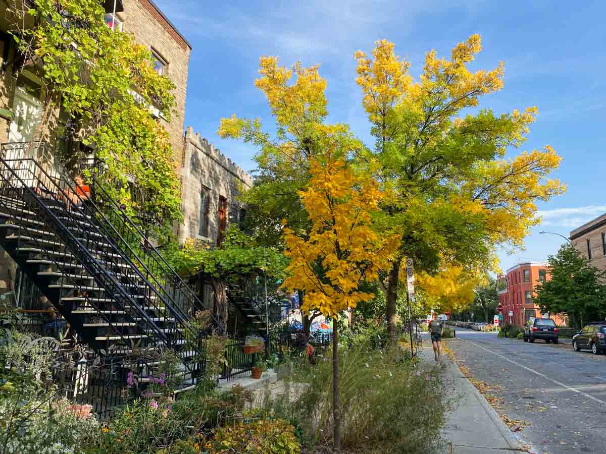 Best neighborhoods in Montreal: Where to stay, eat, and explore