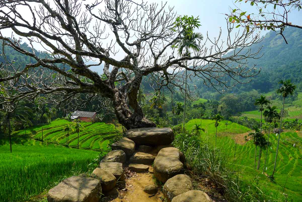 Hiking in Sri Lanka: A guide to the country's best treks