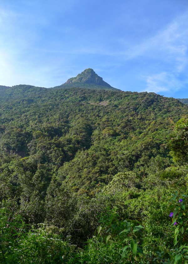 Climbing Adam’s Peak in Sri Lanka: A Complete Guide