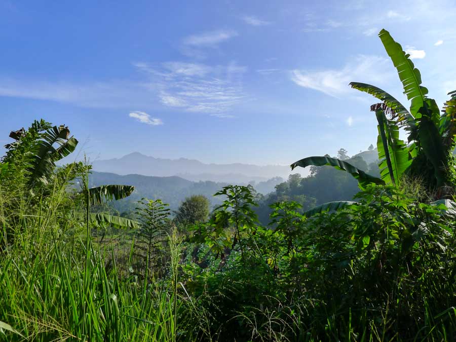 Hiking in Sri Lanka: A guide to the country's best treks