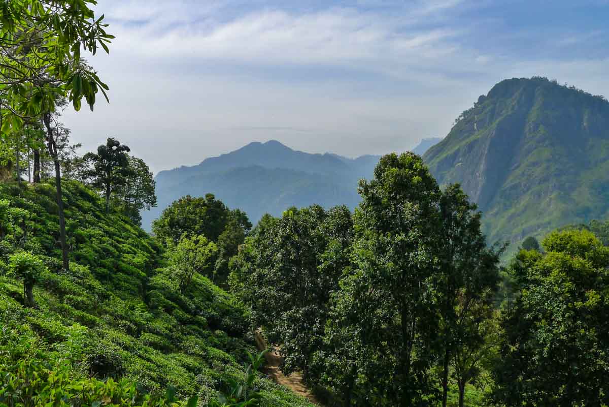 Hiking in Sri Lanka: A guide to the country's best treks
