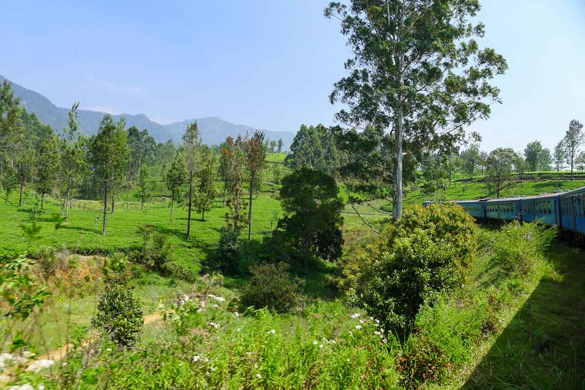 Hiking in Sri Lanka: A guide to the country's best treks