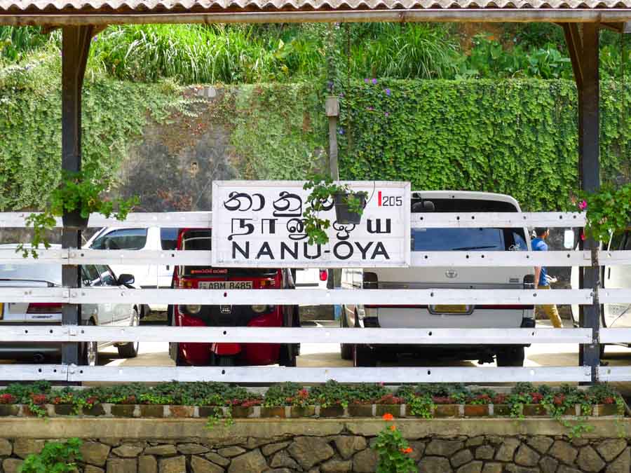 Hiking in Sri Lanka: A guide to the country's best treks