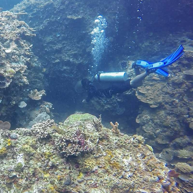 El Nido diving: Much better than island hopping!