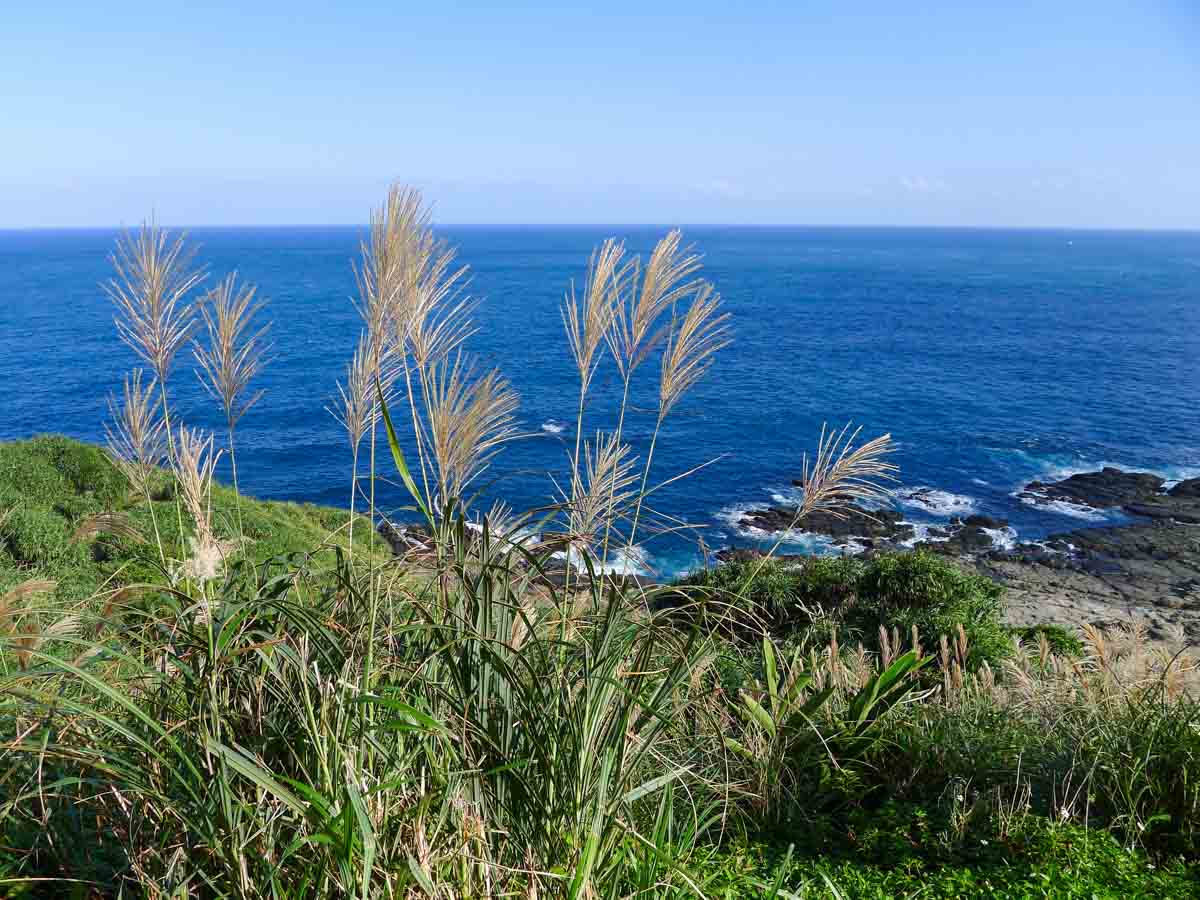 Bitoujiao Trail: A stunning (but easy) half-day hike near Taipei