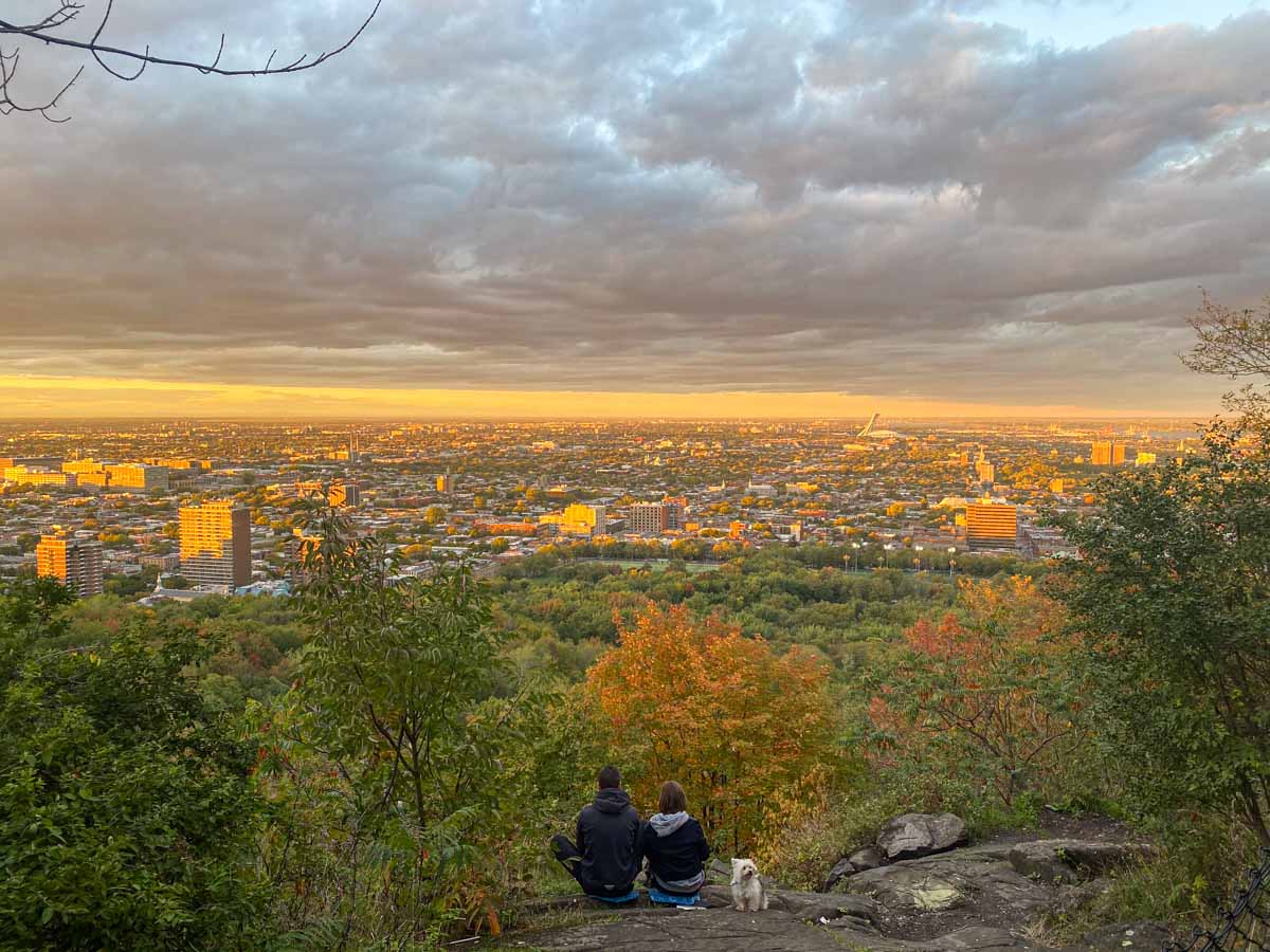 Mount Royal lookout points: How to find the best views in Montreal